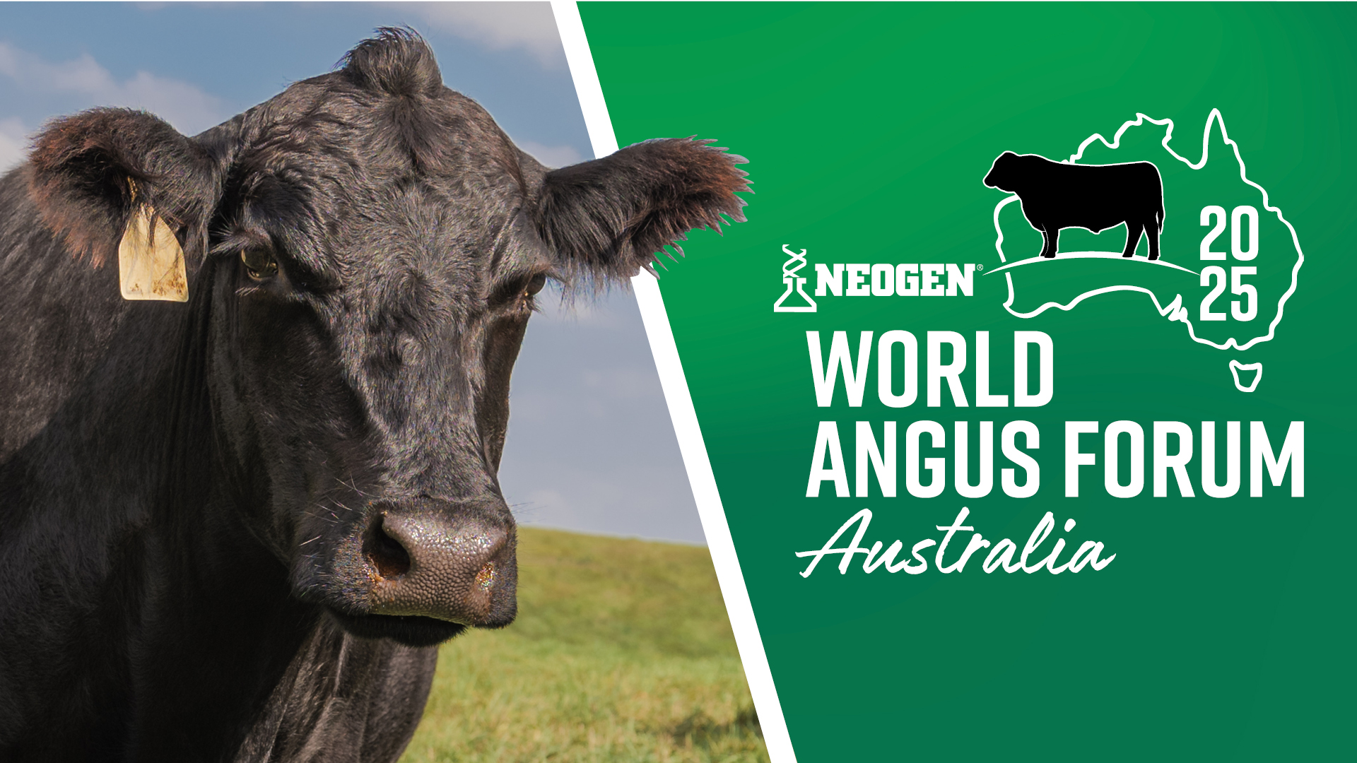 The 2025 Neogen World Angus Forum
